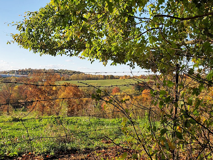 Autumn's paintbrush at work. This vista showcases Ohio's fall foliage in all its glory &ndash; no Instagram filter required!