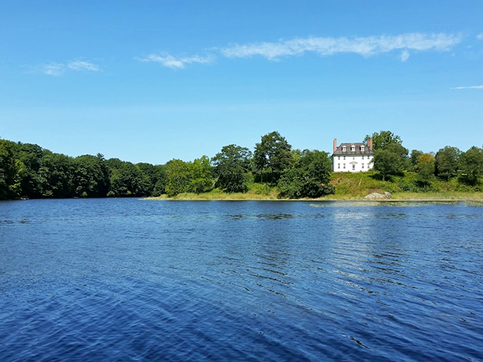 Calm waters, big dreams. This view is so tranquil, even the fish are practicing meditation.