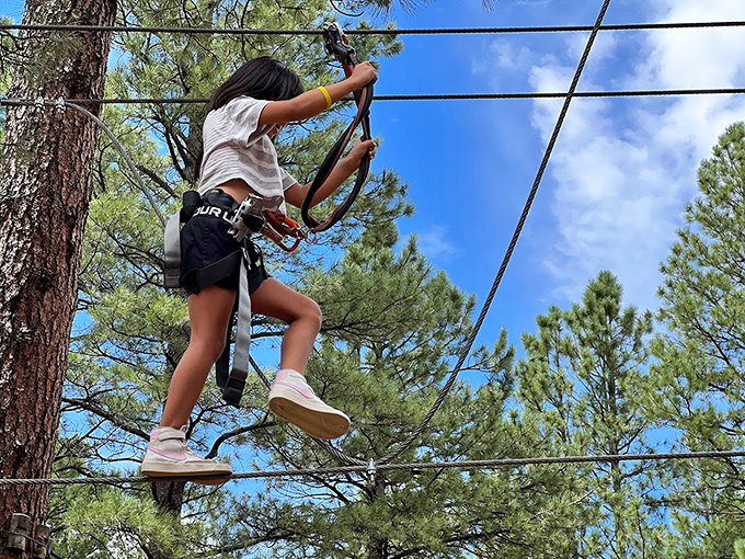 Tightrope walking meets forest bathing. This high-wire act gives "taking a walk in the woods" a whole new meaning.