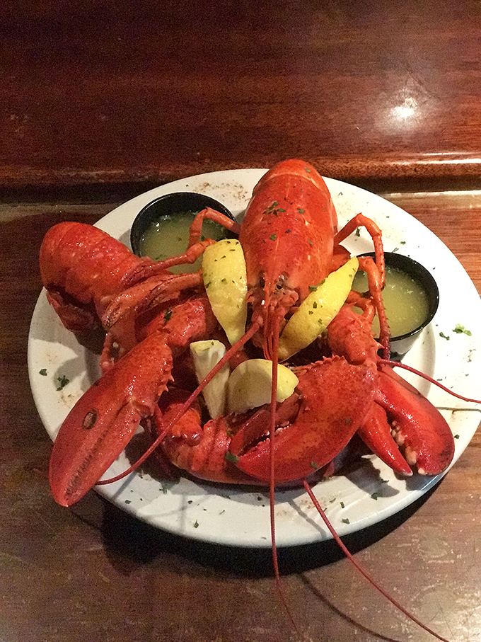 Red carpet treatment, seafood style! This lobster's ready for its close-up, striking a pose that screams 'I'm delicious, and I know it!'