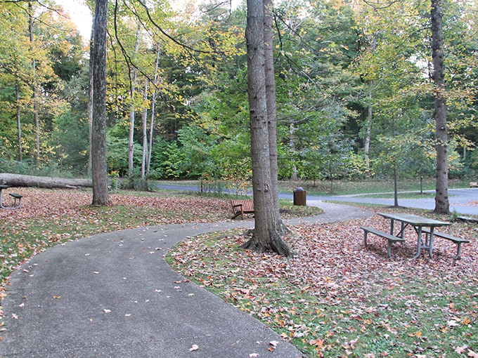 "Nature's waiting room, complete with leaf-strewn floors and a canopy ceiling. No magazines required for this outdoor adventure."