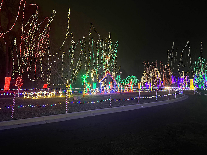 Rudolph, eat your heart out! This reindeer-led sleigh ride through the sky puts Santa's usual commute to shame.