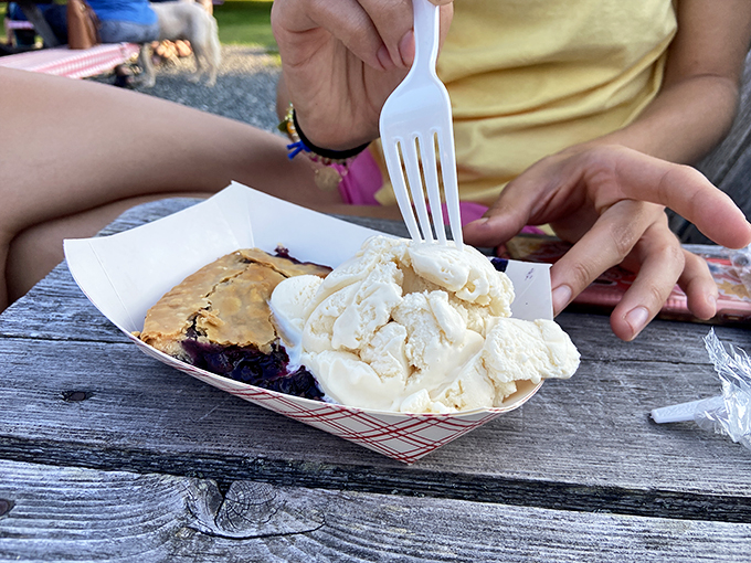 Blueberry pie &agrave; la mode: where fruit meets dairy in a dance of deliciousness. It's the dessert equivalent of Fred Astaire and Ginger Rogers.