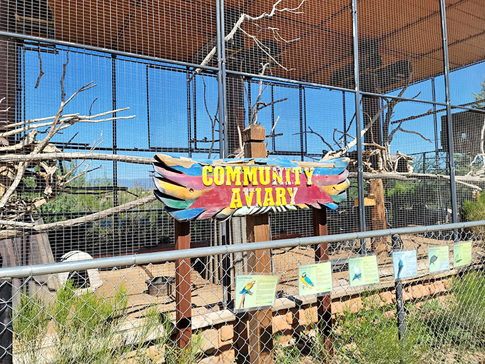 Welcome to the bird's-eye view! This aviary brings a touch of tropical flair to the desert, no frequent flyer miles required.