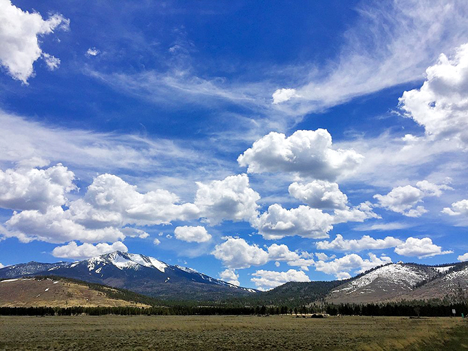 Cloud-watching just got an upgrade. It's like the sky decided to put on its Sunday best for us mere mortals below. Photo credit: IllyCoffeeDrinkers