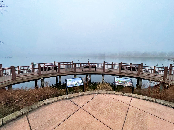 A foggy morning transforms this curved boardwalk into something straight out of a contemplative nature documentary.