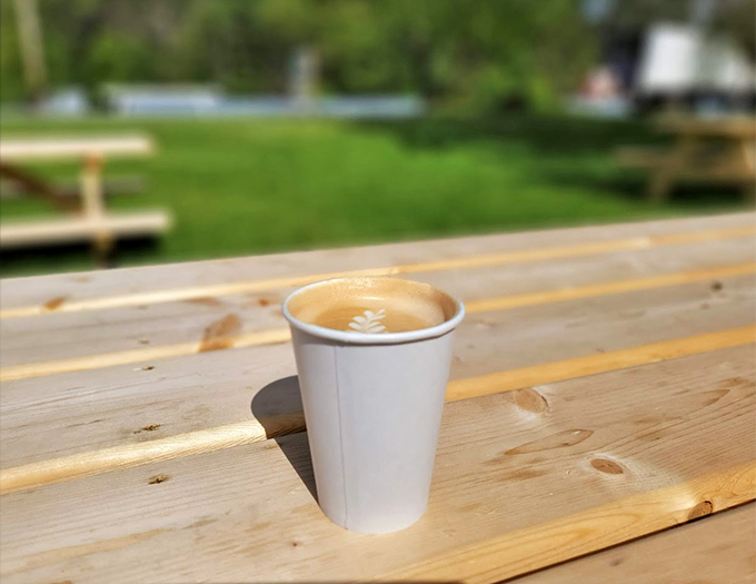 A perfect cup finds its moment in the sun, with Vermont's rolling hills providing nature's best breakfast view.