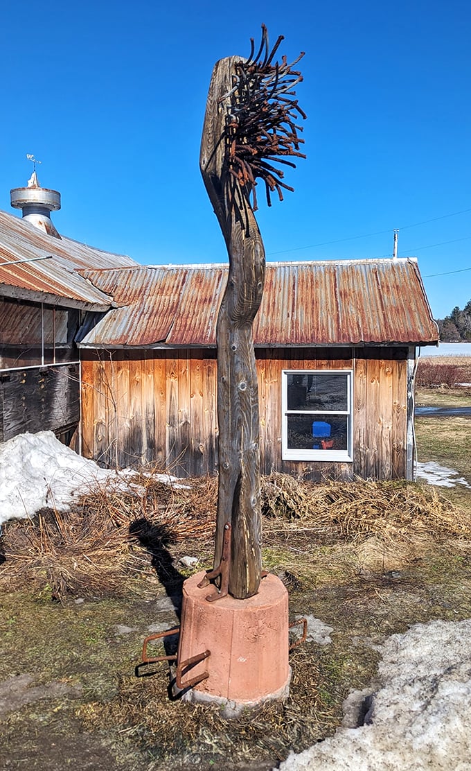 Is it a tree? Is it art? Why not both? This wooden wonder proves that Mother Nature and human creativity make quite the pair.
