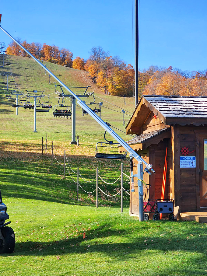 Chairlifts stand ready, waiting to whisk you away to snowy adventures. It's the stairway to heaven for winter sports enthusiasts!