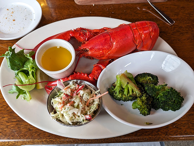 A perfectly steamed lobster that's dressed to impress, complete with drawn butter and seasonal vegetables for a proper Maine feast. Photo credit: Ilya
