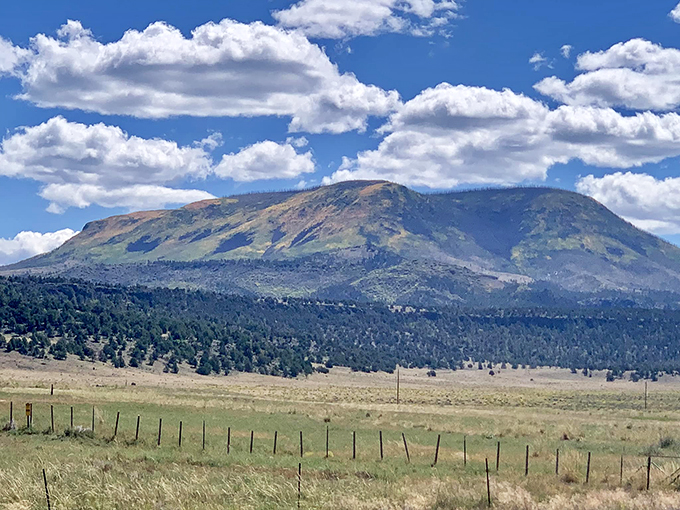 Mountain majesty: Alpine's peaks stand sentinel over the valley, their rugged silhouettes a constant reminder of nature's raw beauty.
