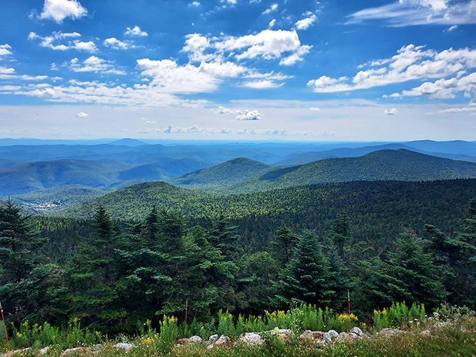Rolling hills stretch to the horizon like a green carpet rolled out for Mother Nature's red-carpet event. Time to strike a pose!