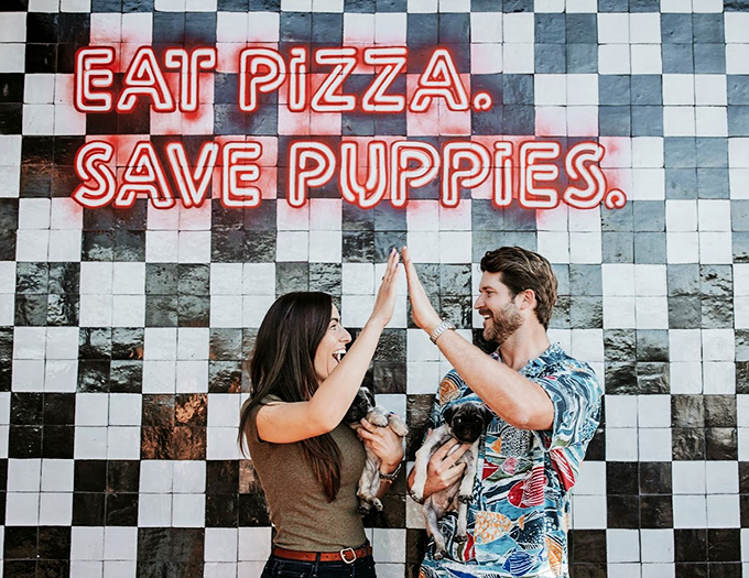 Joy captured in a single frame - where pizza brings people together and rescue pups find their forever families.
