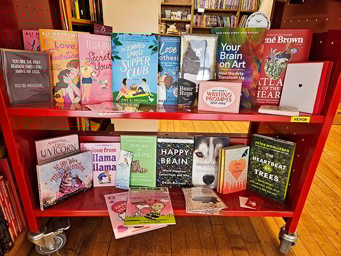 From llamas to happy brains, this shelf is a mood-lifter in book form. It's like a self-help section that doesn't take itself too seriously &ndash; because sometimes laughter is the best therapy.