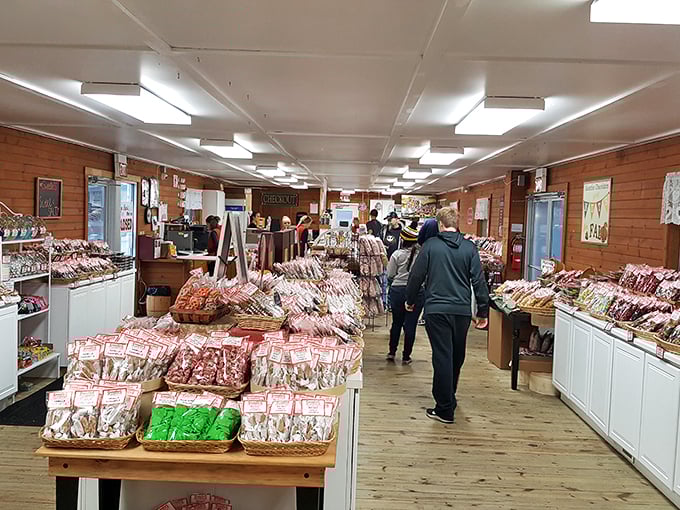 Shoppers in candy land! Watch as visitors navigate this sweet labyrinth, eyes wide with childlike wonder. It's like being a kid in a candy store&hellip; literally.