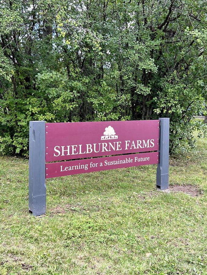 "Learning for a Sustainable Future" &ndash; or as I like to call it, "How to Save the Planet While Eating Really Good Cheese."