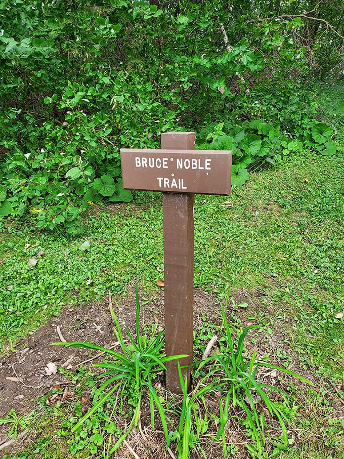 The Bruce Noble Trail: Where every step is a noble pursuit. It's not the stairway to heaven, but it might just lead you to your own slice of paradise.