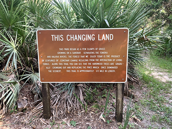 "This Changing Land" - nature's own reality show! Witness the drama of ecological succession, no commercial breaks required.