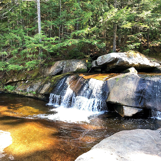 A gentle cascade creates nature's own white noise machine, perfect for drowning out life's daily stresses.
