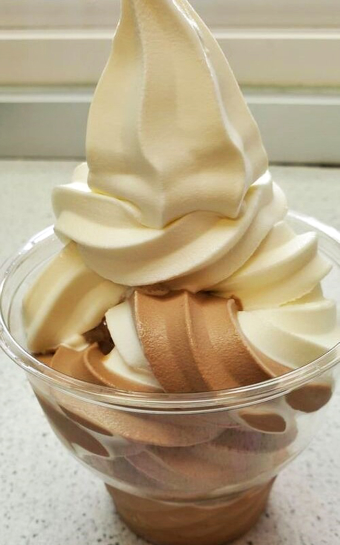 A swirled masterpiece of vanilla and chocolate that looks like it's ready for its close-up on a dessert magazine cover.