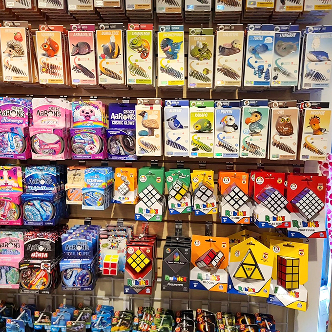 Science meets playtime in this corner of curiosity. From squishy brains to starry projectors, these toys are secretly educational &ndash; but don't tell the kids!