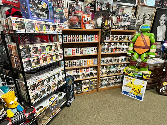 From Teenage Mutant Ninja Turtles to Funko Pops, this toy paradise bridges generations of collecting passion.
