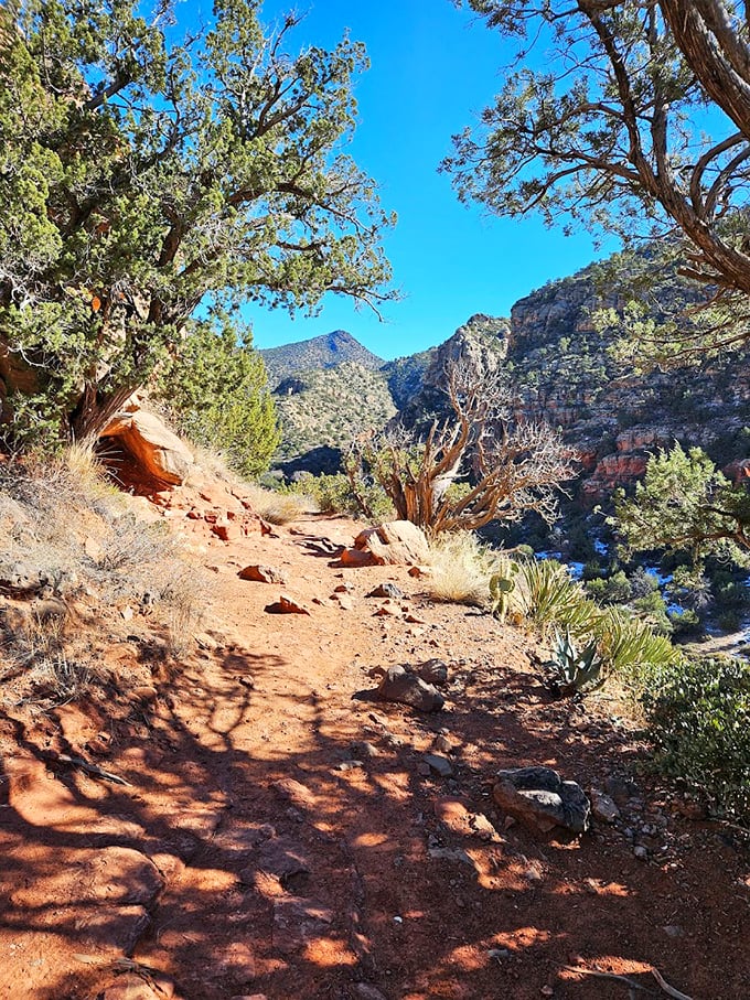 A rocky path winds through desert wisdom, where each step reveals another chapter of Arizona's geological story.