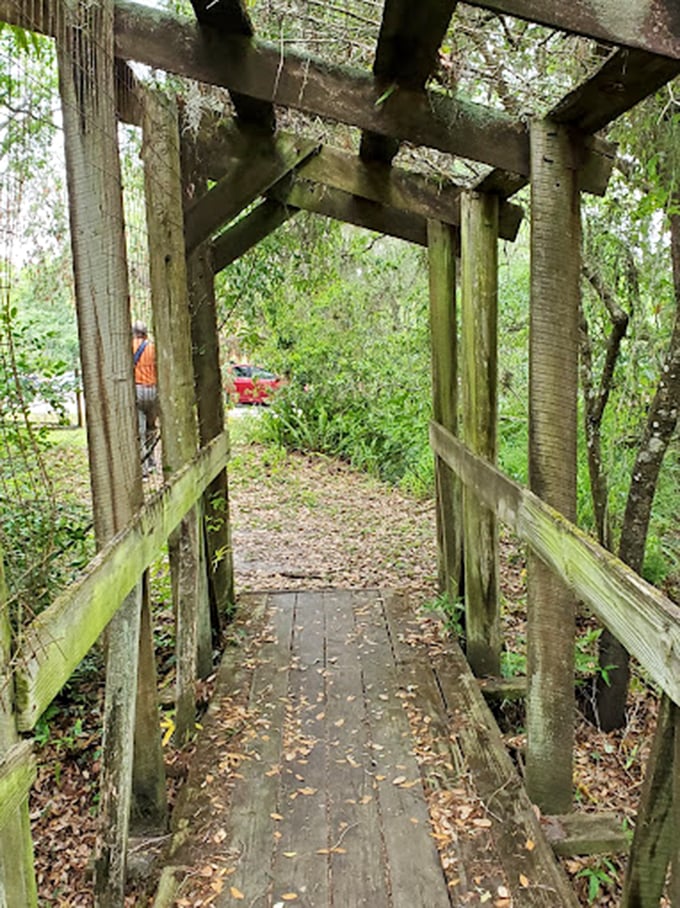This wooden walkway leads visitors through a canopy of moss-draped oaks, nature's version of a royal processional.