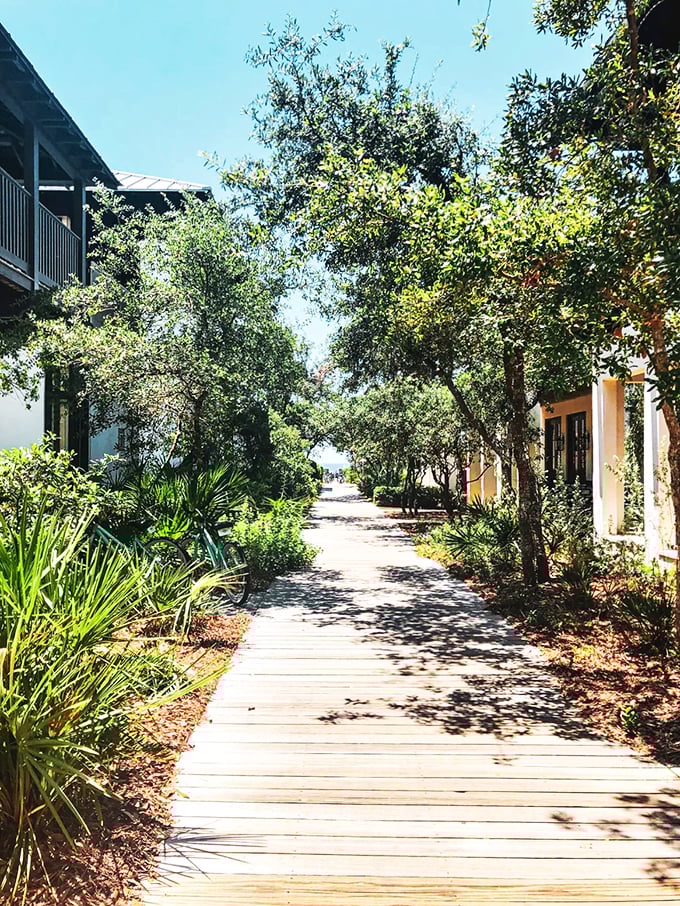 A wooden boardwalk winds through native plants, creating a peaceful path that whispers "slow down and stay awhile."