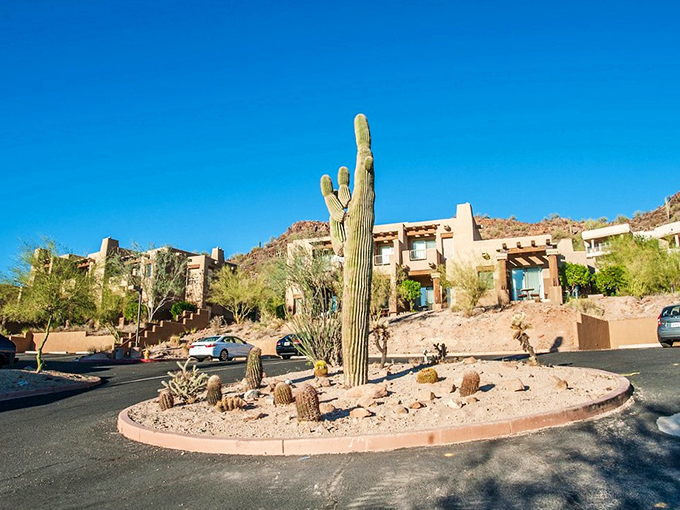 Sentinel saguaros stand guard over desert-inspired landscaping, welcoming visitors to this unique Arizona community.