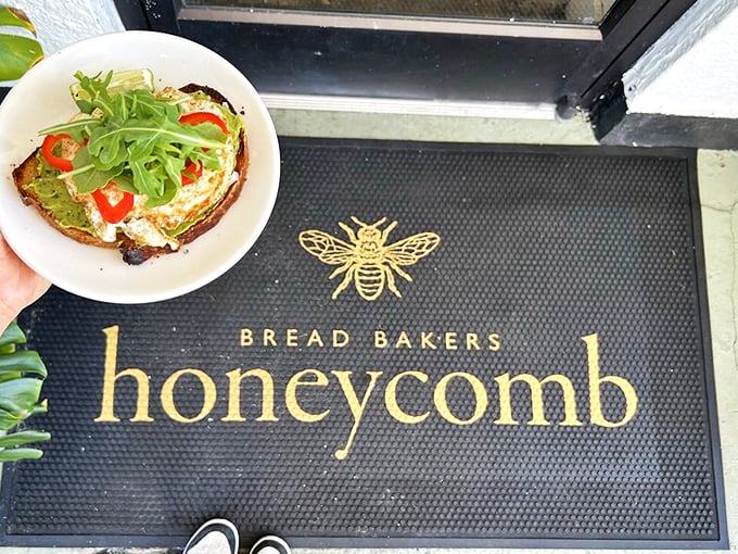 Where avocado toast meets artistic presentation, proving breakfast can indeed be both beautiful and delicious.