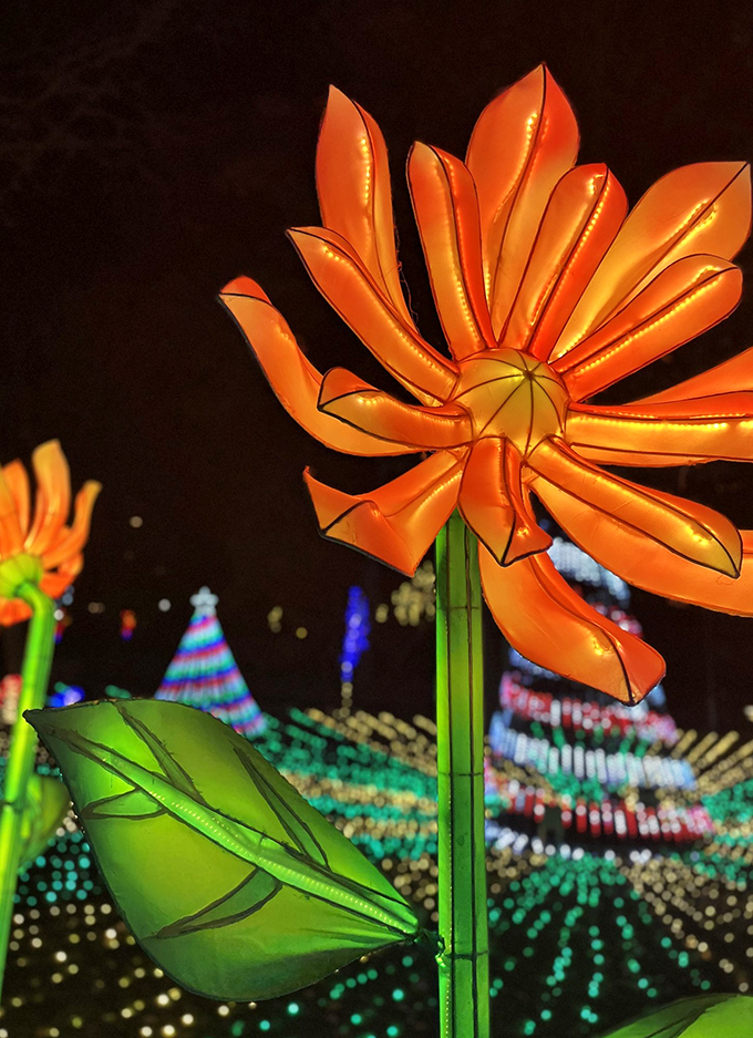 Talk about flower power! These larger-than-life blooms bring a touch of spring to winter, no green thumb required.