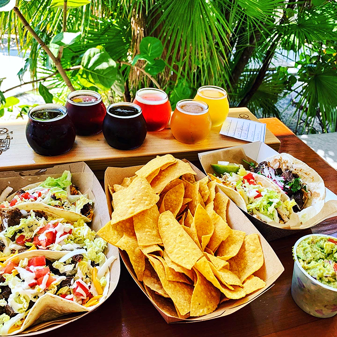 Taco 'bout a feast! These colorful tacos and vibrant drinks are a fiesta for your taste buds and your Instagram feed.