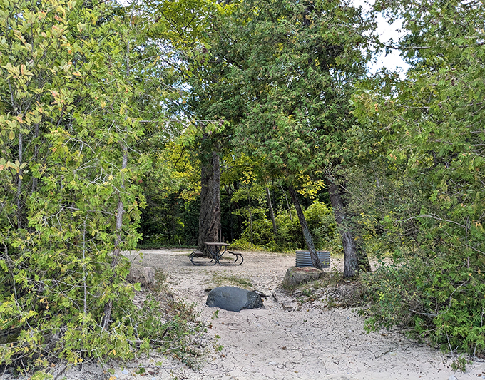 Picnic paradise found! This secluded spot is the perfect place to enjoy your sandwich with a side of solitude.