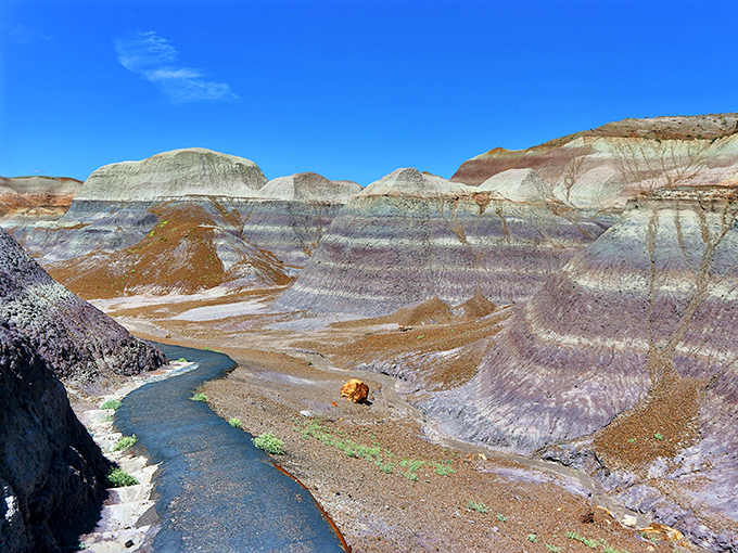 Curves ahead! This trail meanders through the badlands like a river of asphalt, inviting exploration at every turn.