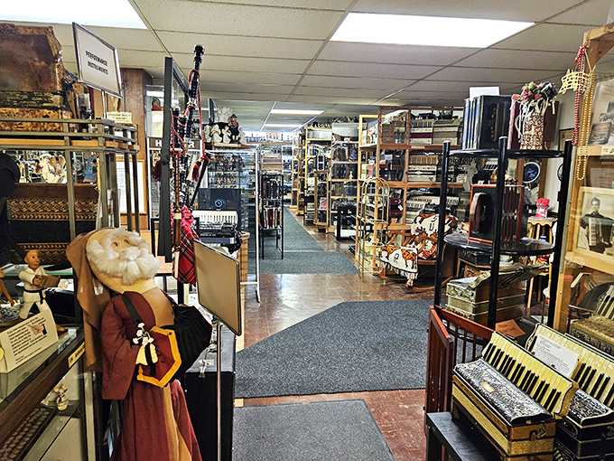 A wall of wheeze! These shelves showcase accordions in all their glory. It's like a family reunion of musical relatives, from great-grandpa concertina to cousin bayan.