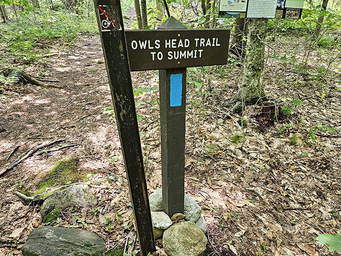 The path less traveled: Owl's Head Trail beckons adventurers to discover what a wise old bird already knows - the view's worth it.
