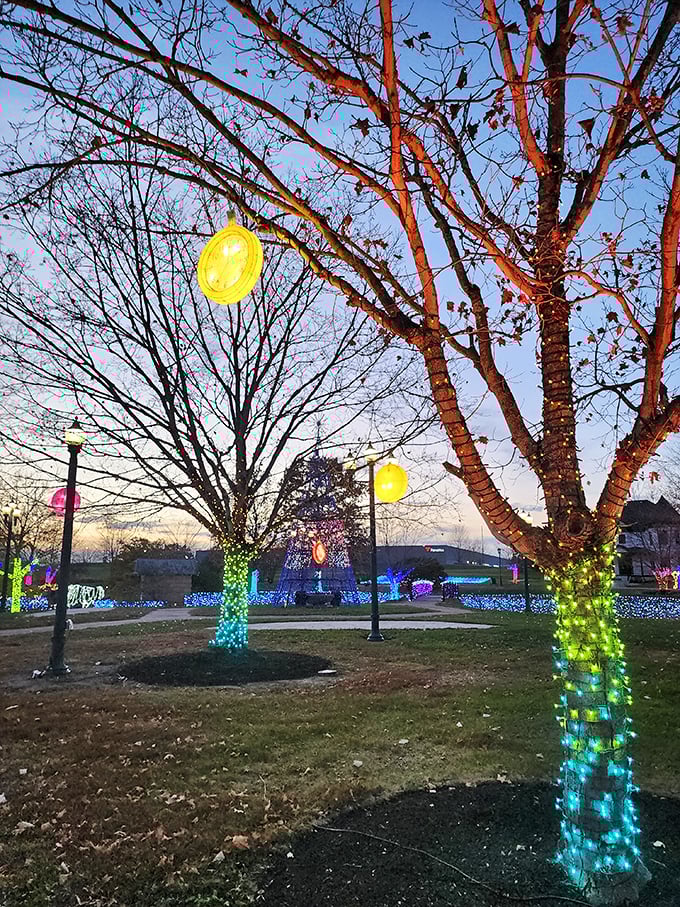 O Christmas tree, O Christmas tree&hellip; Oh wait, that's just Ohio lighting up the night with festive flair!