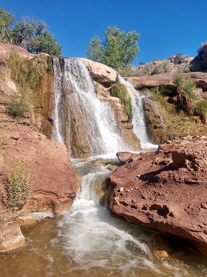 Who ordered the desert with a side of waterfall? Mother Nature's showing off again, proving she's the ultimate mixologist of landscapes.
