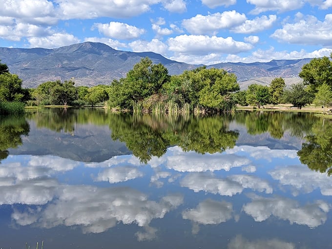 Mountains and clouds play mirror games in Dead Horse Ranch's still waters, creating twice the natural beauty.