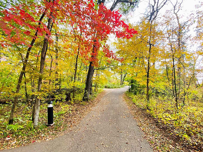 Wild River State Park puts on a fashion show that would make Milan green with envy.