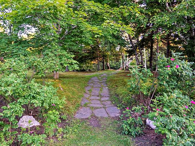 A tranquil stone path leads into the woods at Allis State Park. Perfect for a relaxing, lush summer afternoon stroll in Vermont.