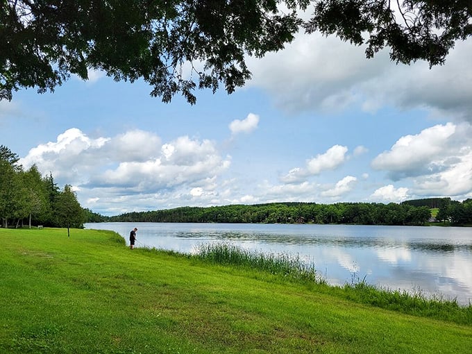 Aroostook State Park: Where the sky meets the earth in a breathtaking embrace. Talk about a view that goes on forever!