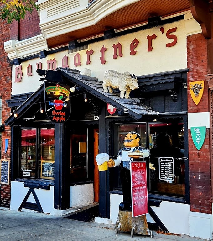 Holy cow, that's a lot of cheese! Baumgartner's is where dairy dreams come true.