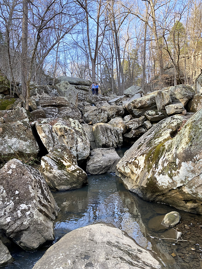 Natural springs that once promised healing powers. These days, they're more likely to cure your fear of cold water.