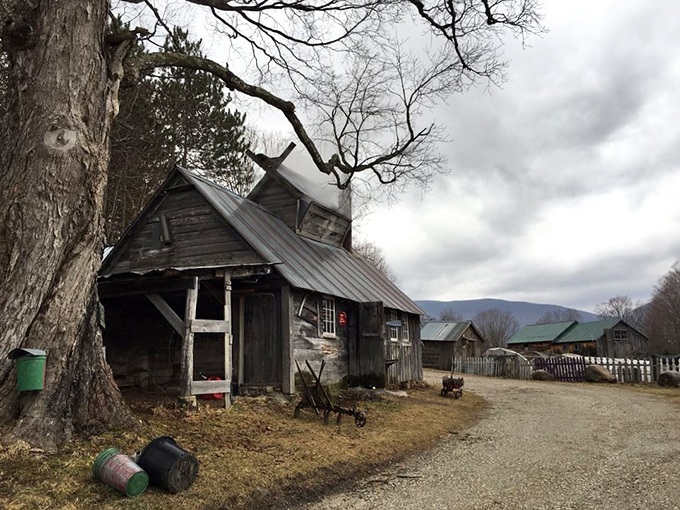 Dutton Berry Farm: Where maple syrup meets its fruity match in a cornucopia of Vermont's finest flavors.