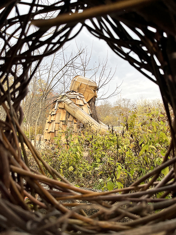 Autumn's red carpet event! These trees are dressed to impress, no stylist required. Photo credit: Bethany Spear