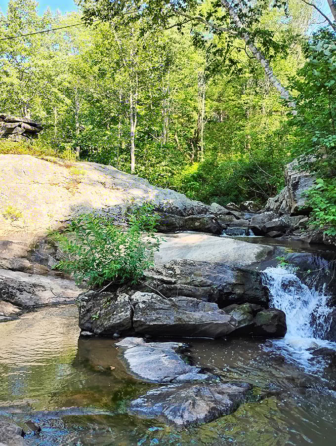 Mast Landing: Where retail therapy meets nature's remedy. Trade shopping bags for binoculars and watch your stress levels plummet faster than clearance prices.