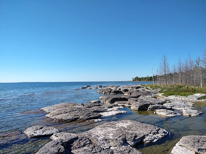 Untamed shoreline stretches as far as the eye can see, where every beach walk becomes an expedition.