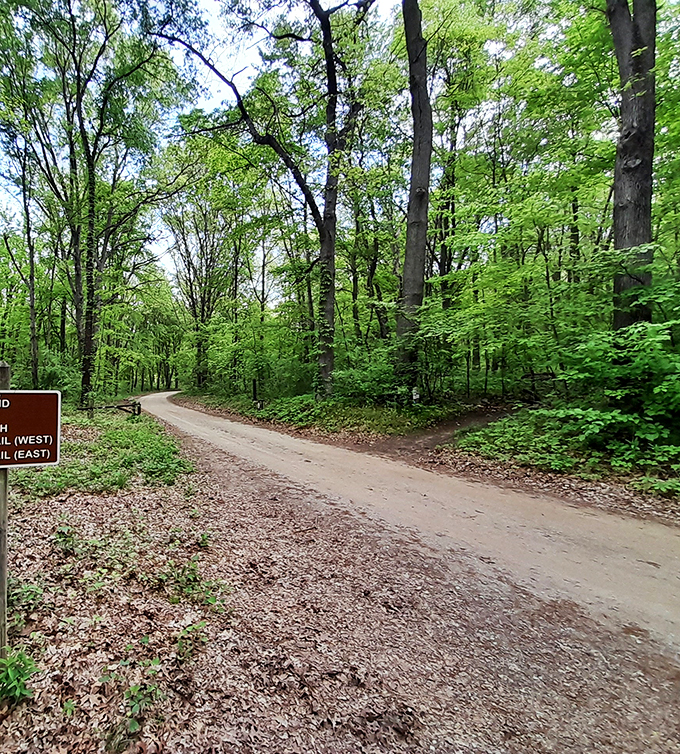 Waterloo's wooden wonders! This bridge invites you to cross over into a world where 'urgent' means 'time for another hike.